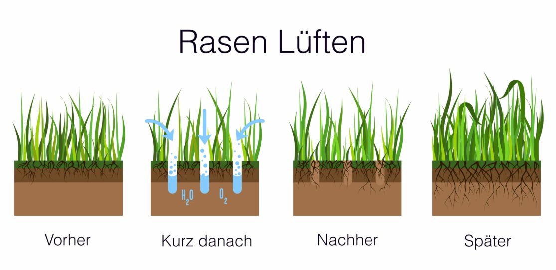 Rasen Sanden – Alles, was du wissen musst | MOOWY